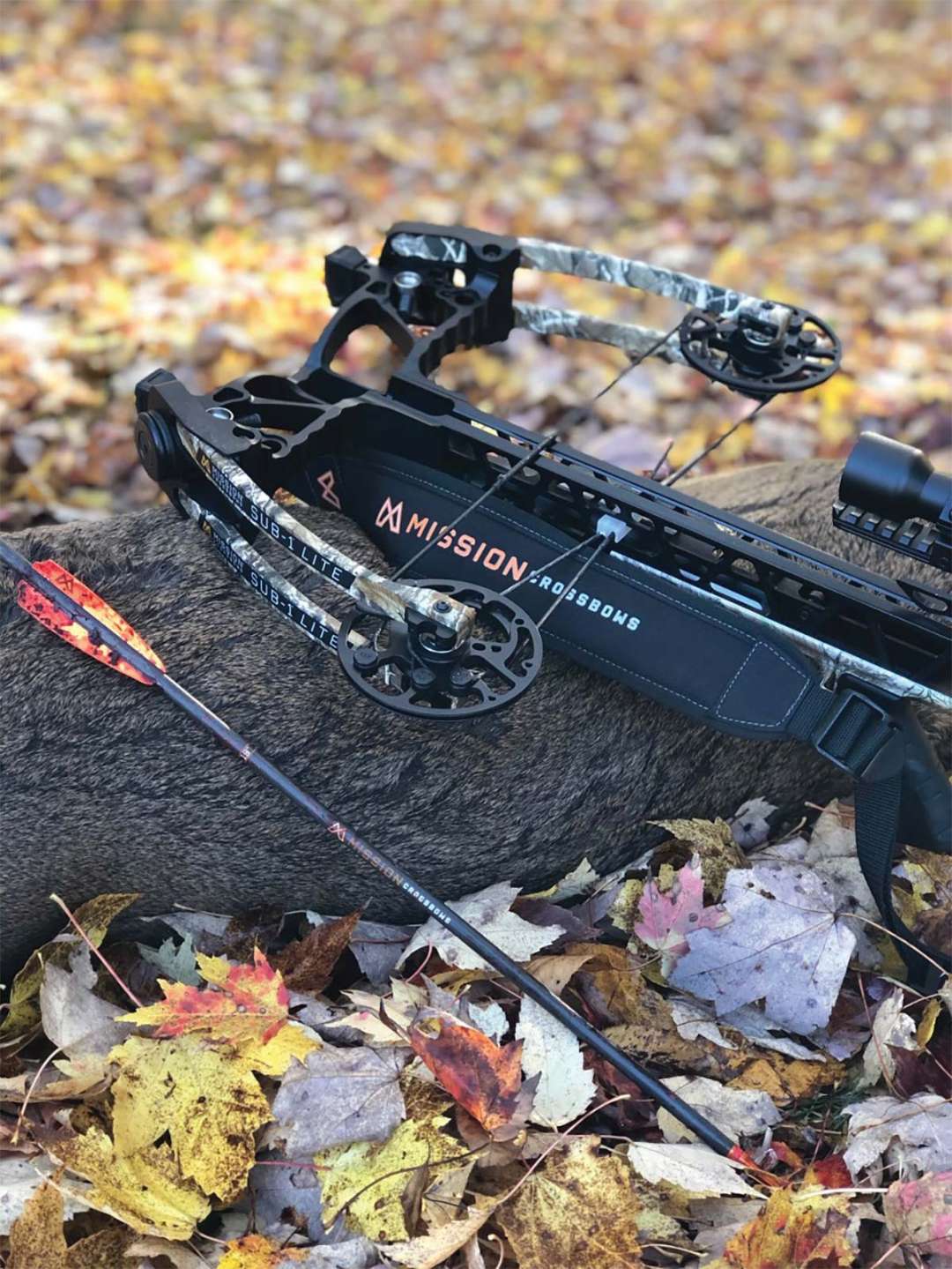 Rubs Versus Scrapes: What’s the Difference? - Crossbow Magazine