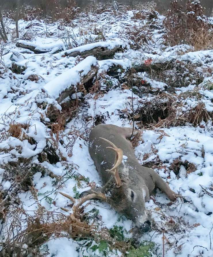 Skinning and Quartering Game In The Field - Crossbow Magazine