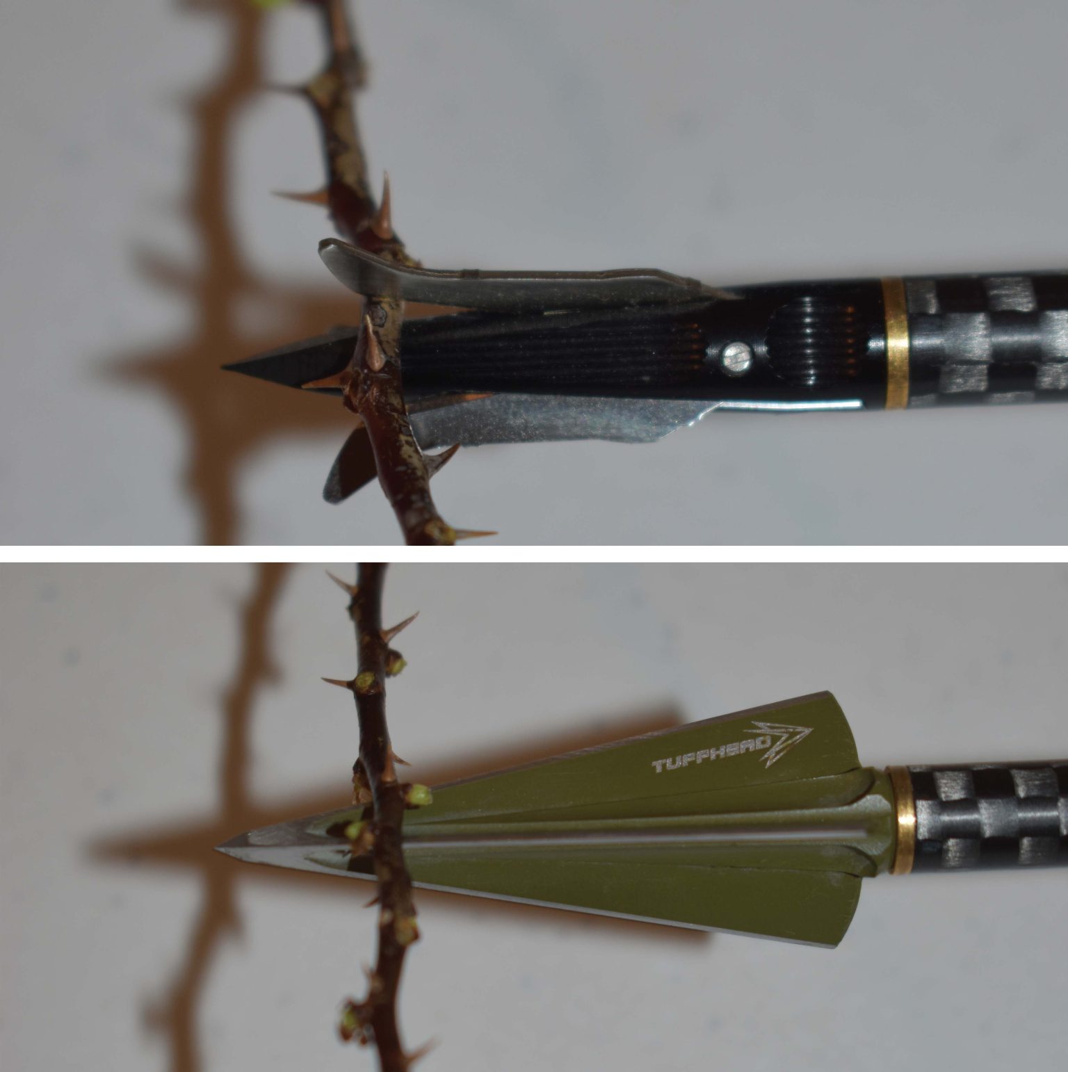 Death by Broadhead: Mechanical vs. Fixed Blade - Crossbow Magazine