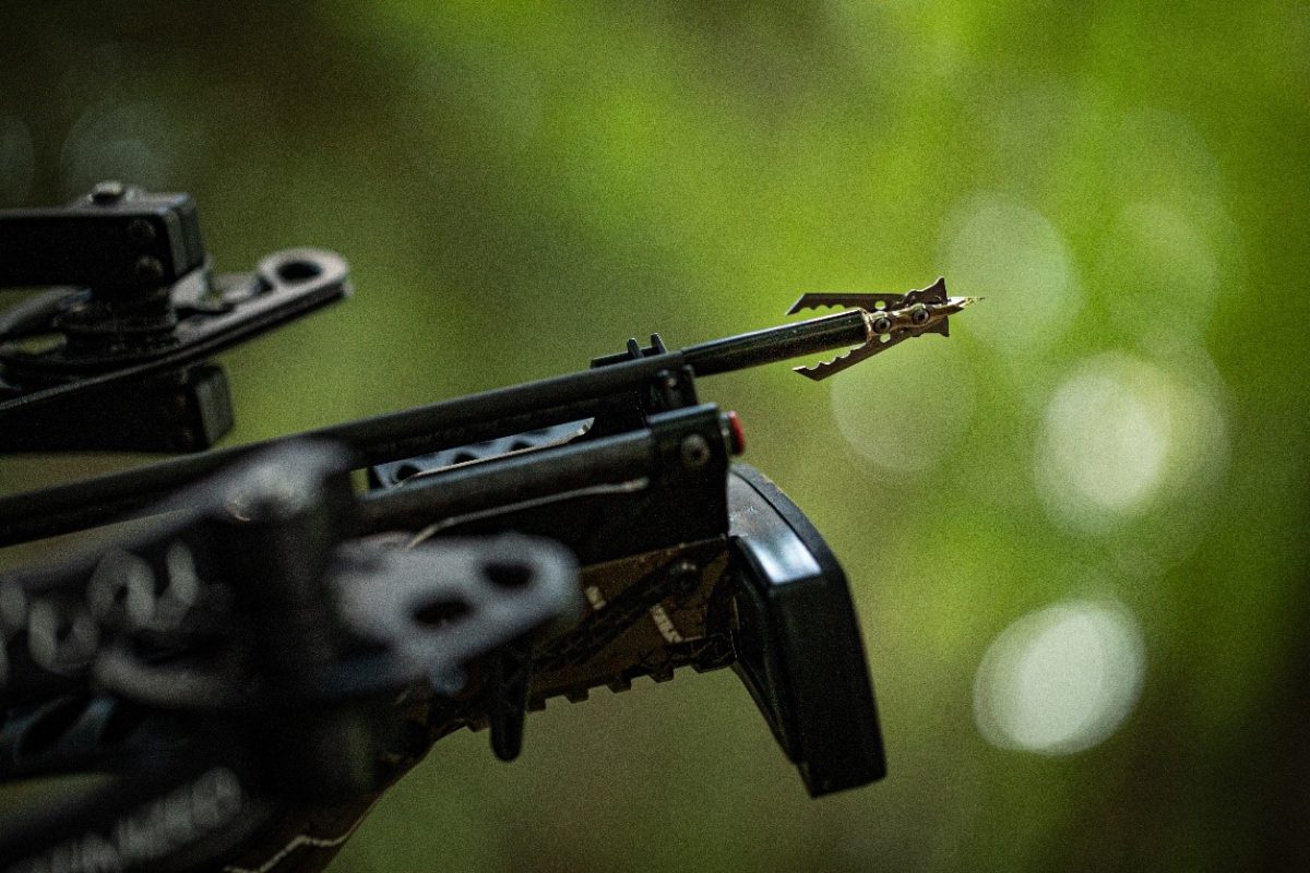 Our Picks: Best Crossbow Broadheads - Crossbow Magazine