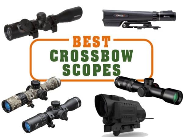 The Best Crossbow Targets For Every Situation - Crossbow Magazine