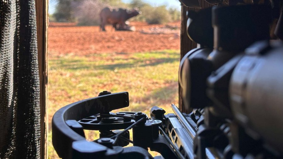 Converting Speed Into Energy: How to Get the Most Out of Your Crossbow ...