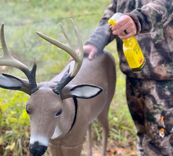 Deer Decoys: All You Need To Know - Crossbow Magazine