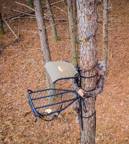 How to Optimize Treestand Locations for Crossbow Hunting - Crossbow ...