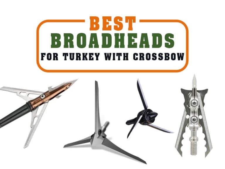 Best Turkey Broadheads for Crossbows - Crossbow Magazine
