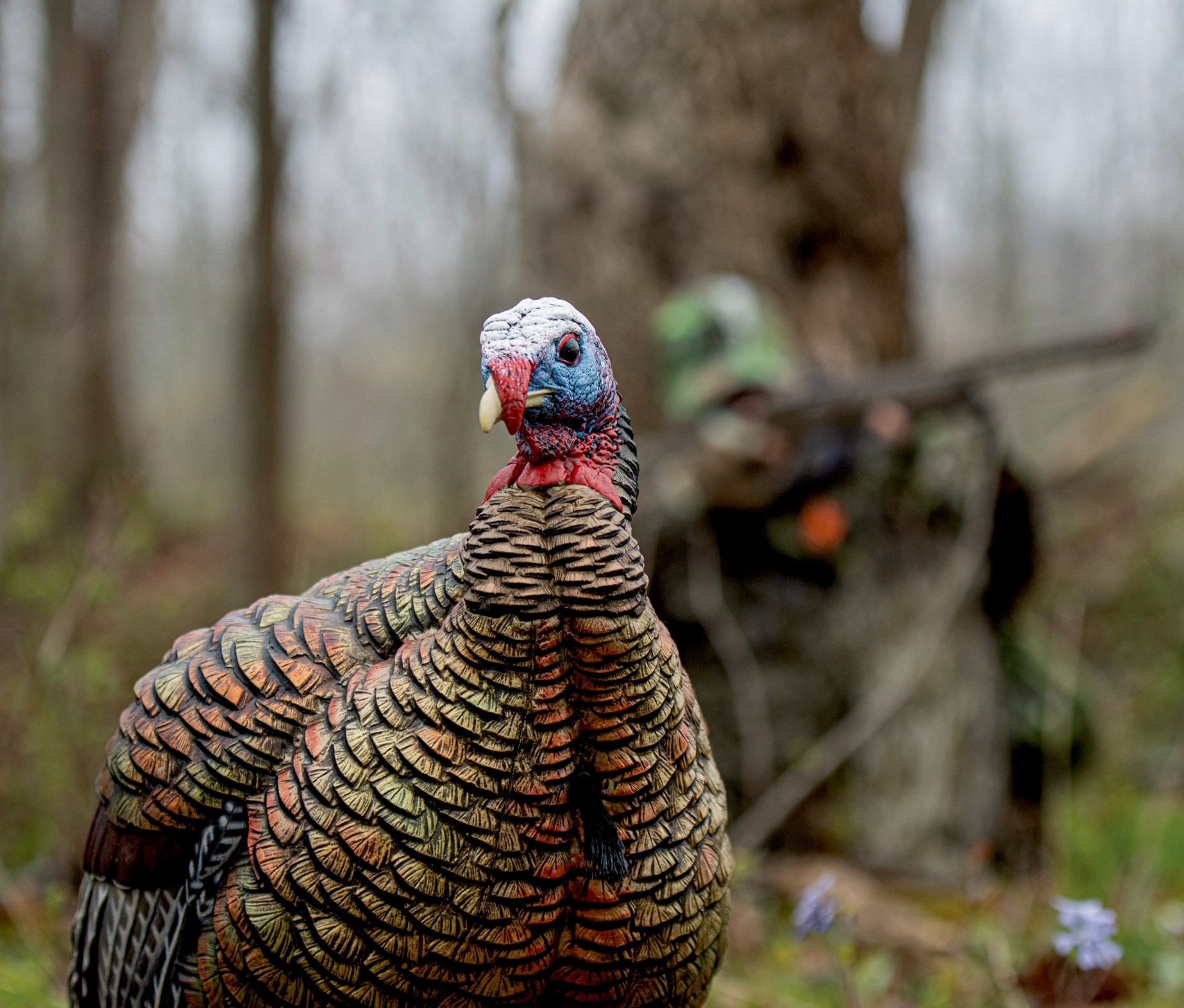 Best Turkey Decoys for 2025 - North American Outdoorsman